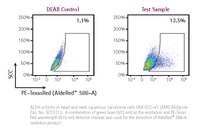 AldeRed™ ALDH Detection Assay | SCR150